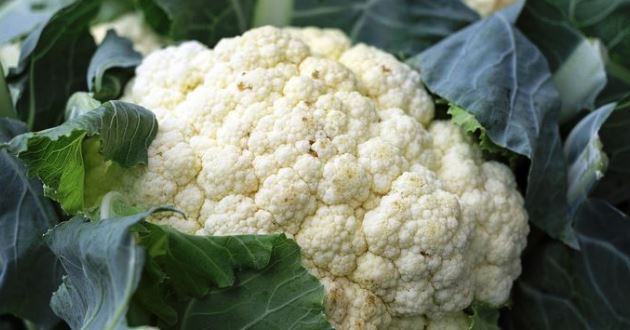 Ketahui 5 Manfaat Kembang Kol untuk Kesehatan: Memperkuat Tulang Hingga ...